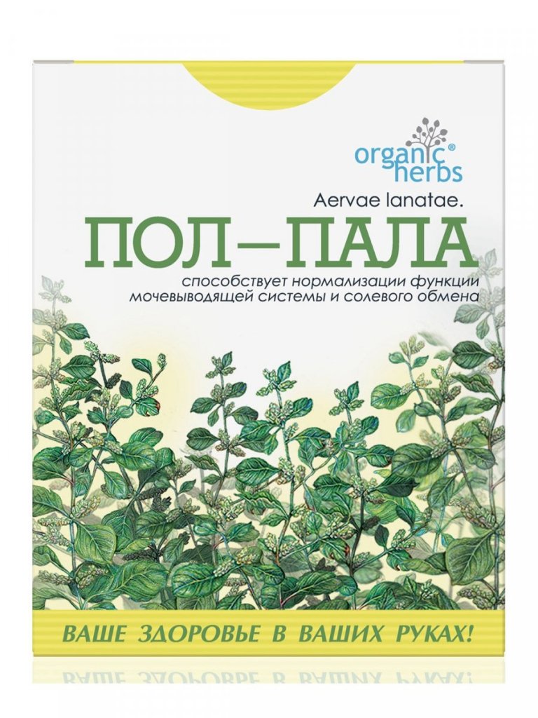 Polpala, Pol pala (Aerva Lanata), FBT, 50 g - Zioła - Zdrowa Żywność ...