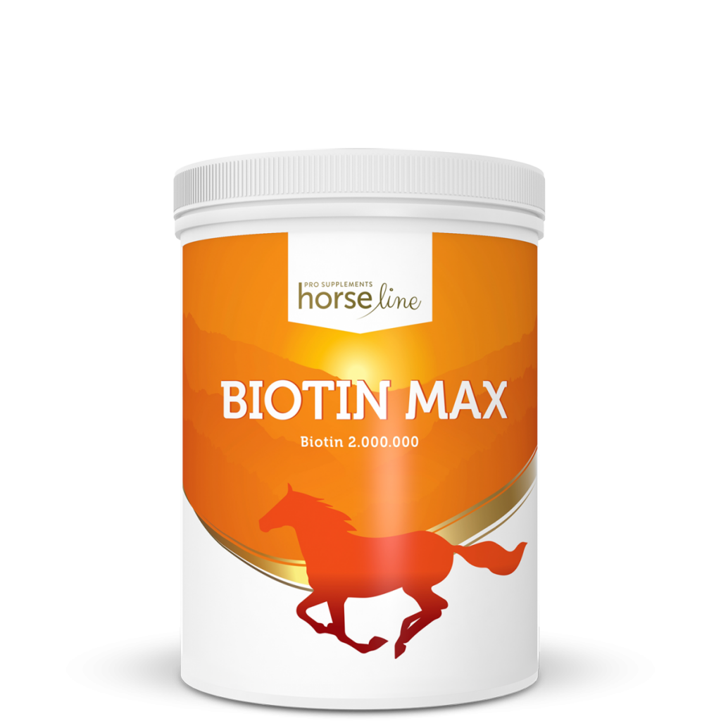 Biotyna Biotin Max 500g - HorseLine PRO