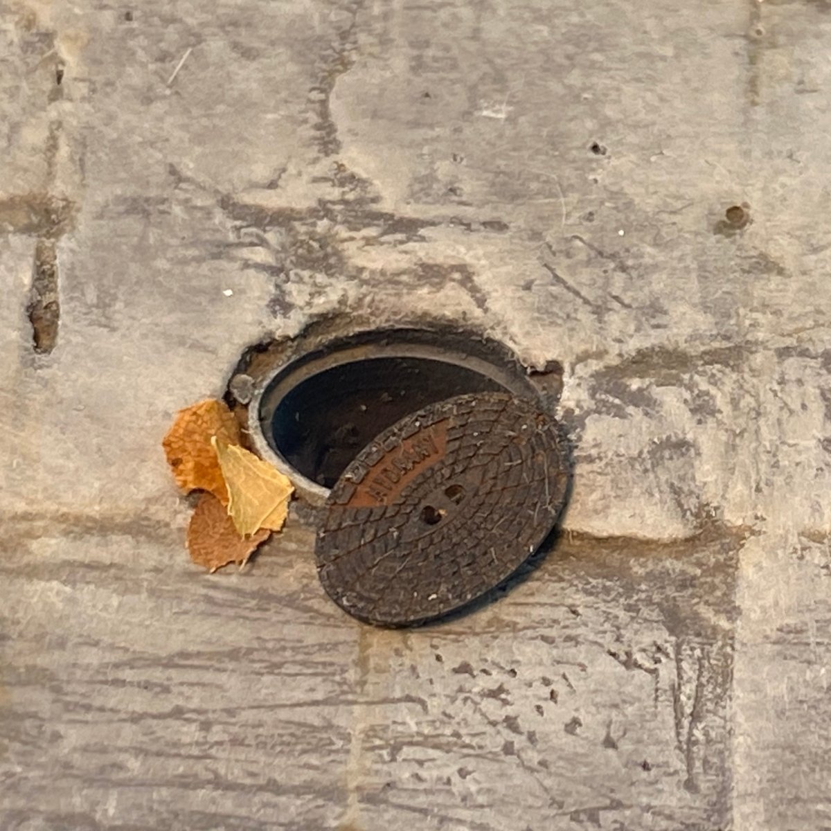 Point of no Return 3523035 Studzienka rewizyjna hydrant Hydrant ...