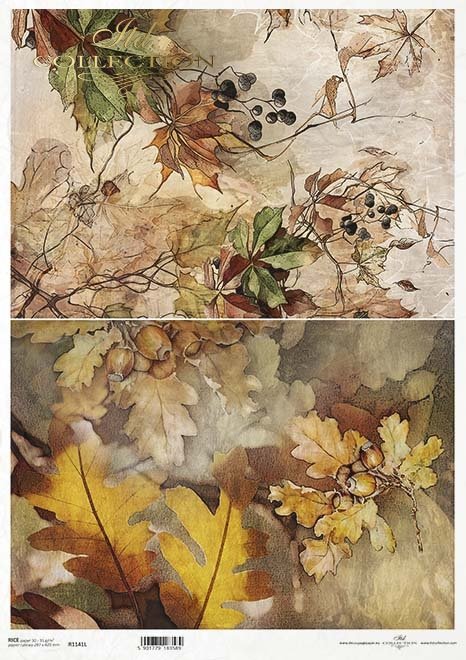 Rice paper A3 R1141L - autumn views, plants, grapevine, oak leaves ...