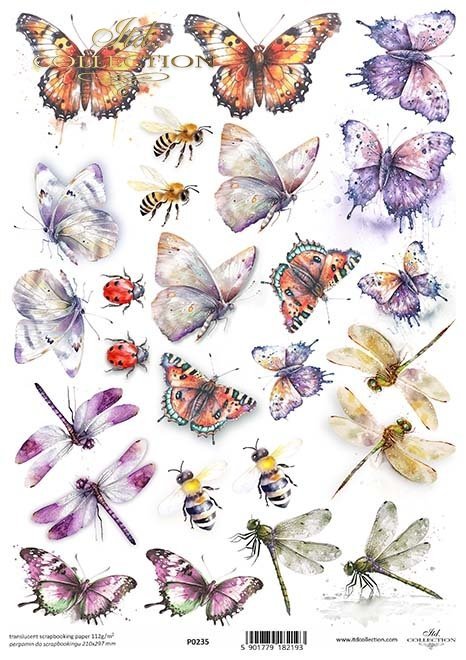 translucent scrapbooking paper P0235 * butterflies, insects ...