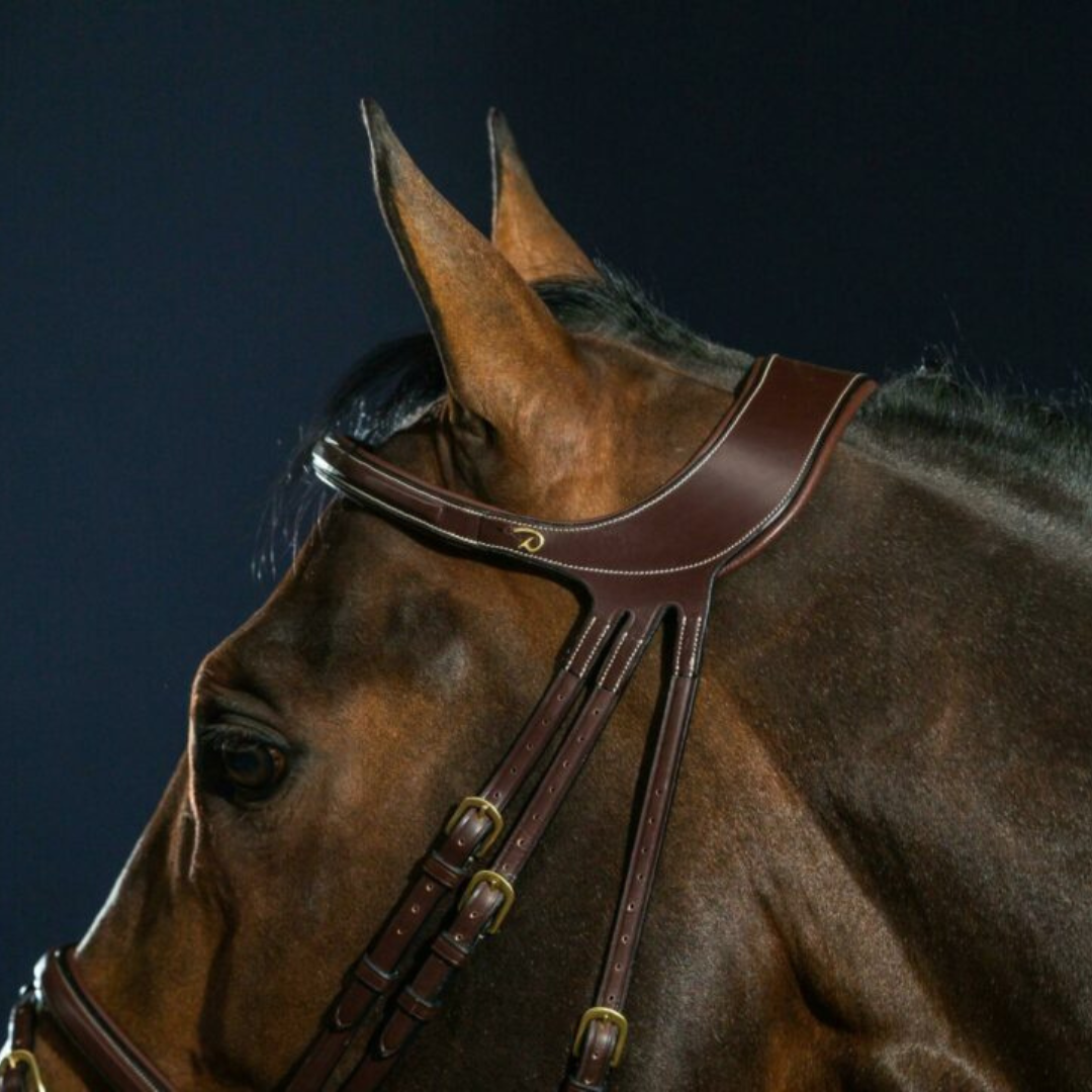 DYON DIFFERENCE COLLECTION Ogłowie dla koni z wrażliwą potylicą - Koń ...