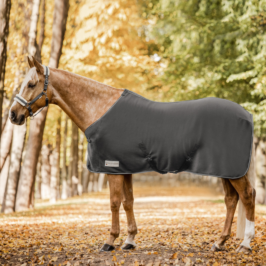 WALDHAUSEN ECONOMIC Derka polarowa z pasami