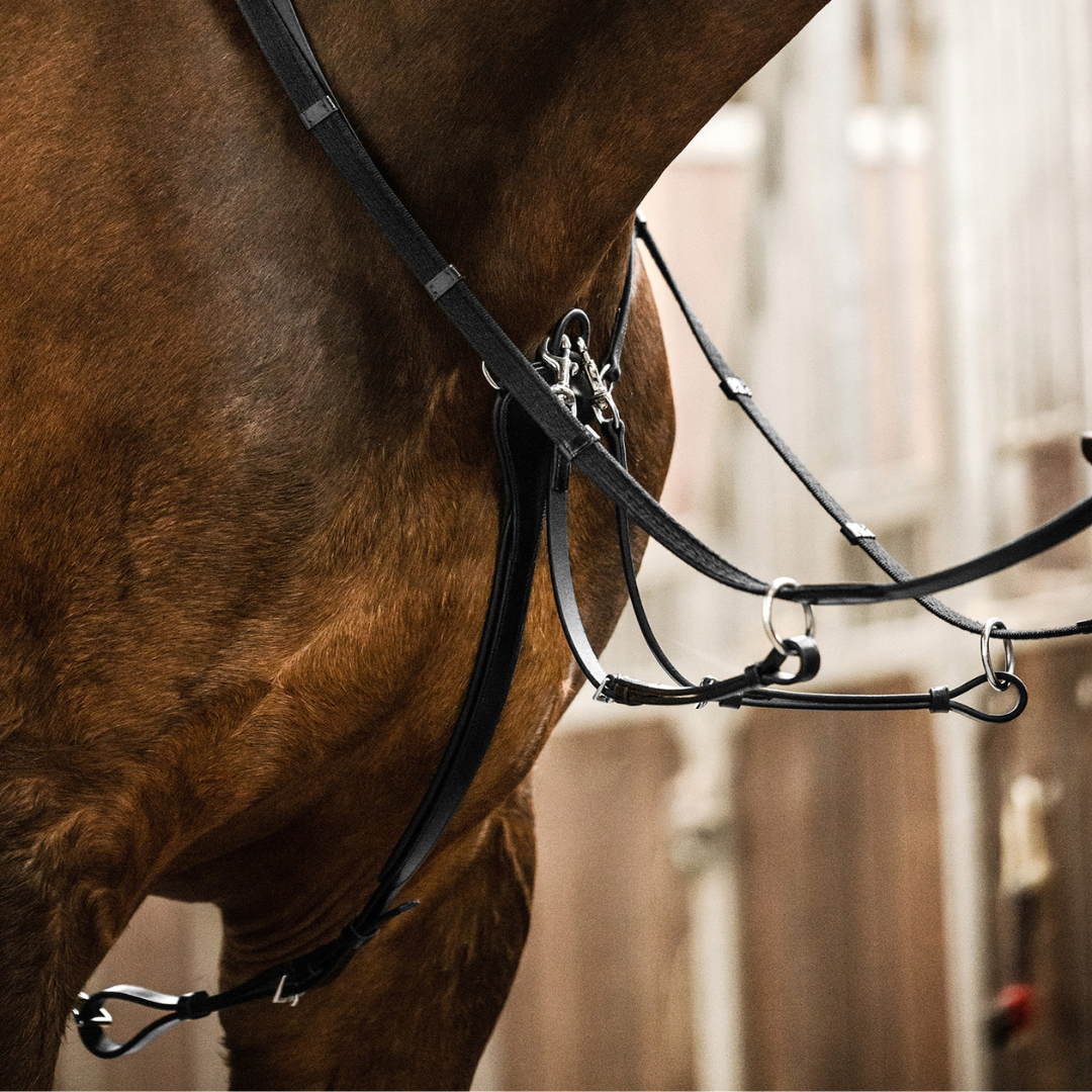 WALDHAUSEN X-LINE PROFESSIONAL Regulowany skórzany wytokiem